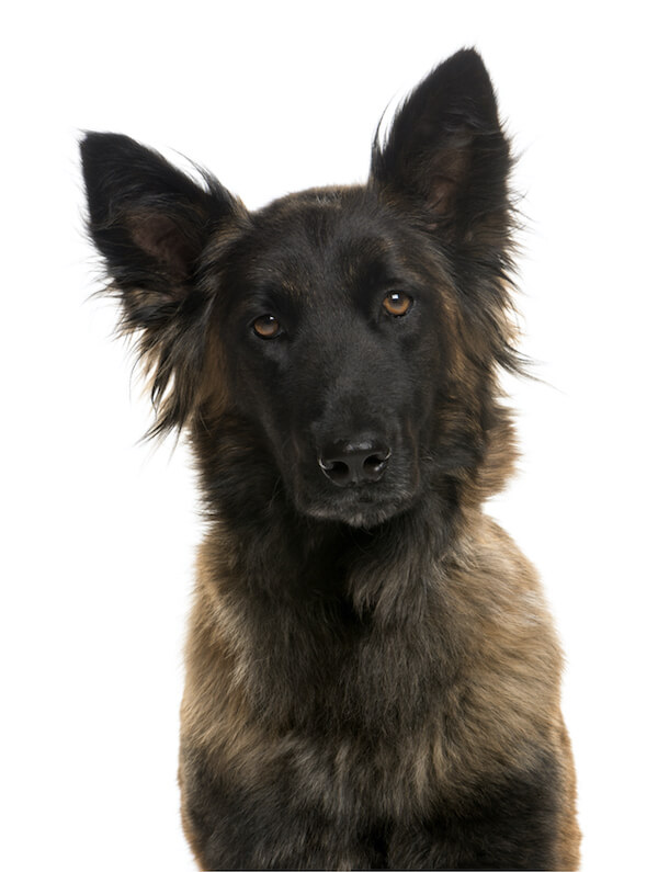 Ben Chatwin - grayHAUS